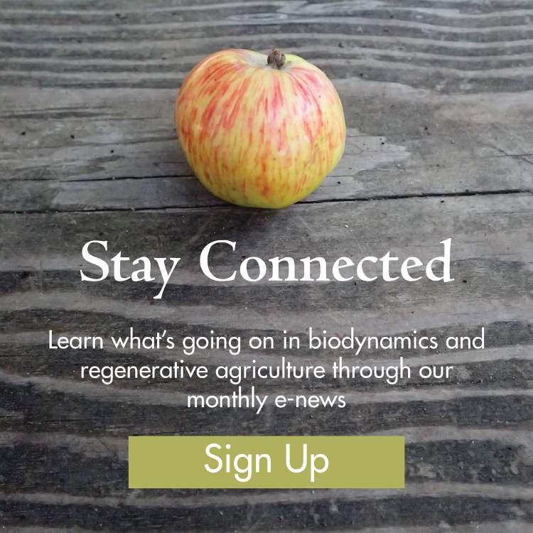 What Is Biodynamics? | Biodynamic Association
