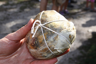 Biodynamic Preparations | Biodynamic Association