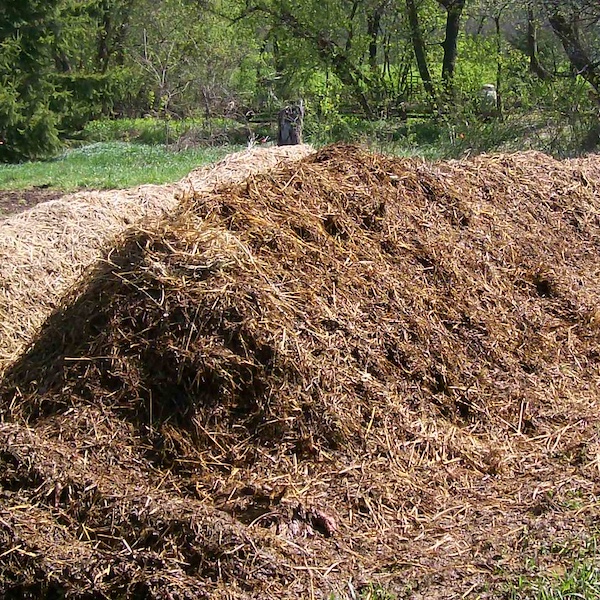 Core Biodynamics Courses | Biodynamic Association