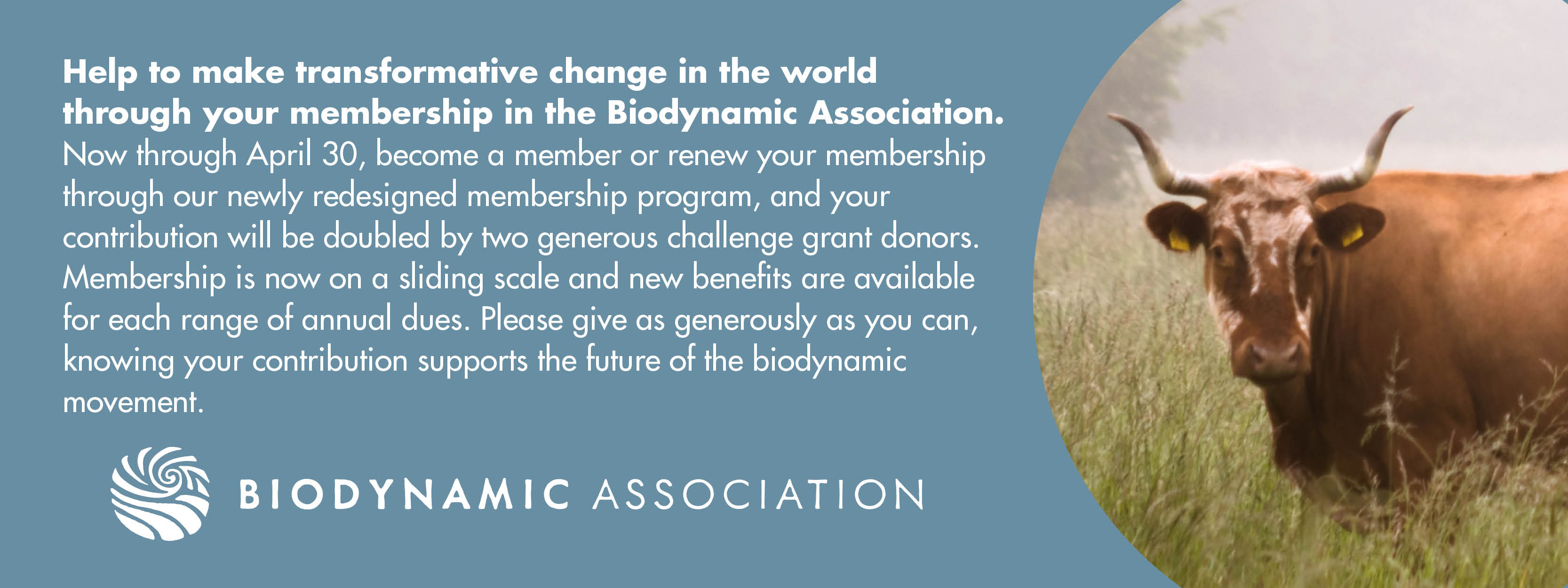 Biodynamic Association | Rethinking Agriculture